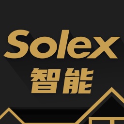 Solex拳击手套